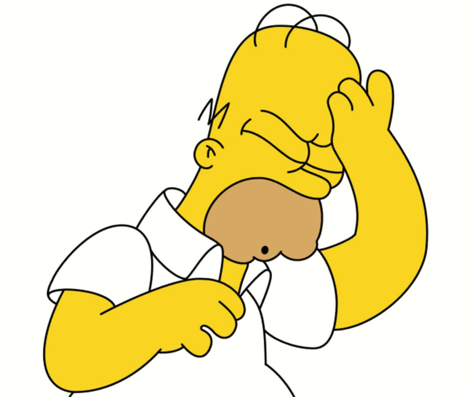 People Share Stories About The Stupidest Individuals They Have Ever Met People Share Stories About The Stupidest Individuals They Have Ever Met