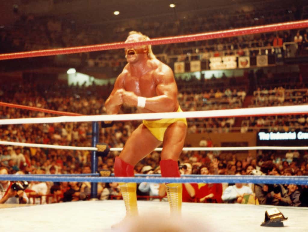 Smashing Facts About Hulk Hogan