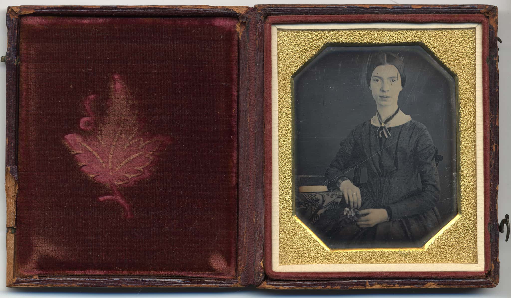 42 Mysterious Facts About Emily Dickinson