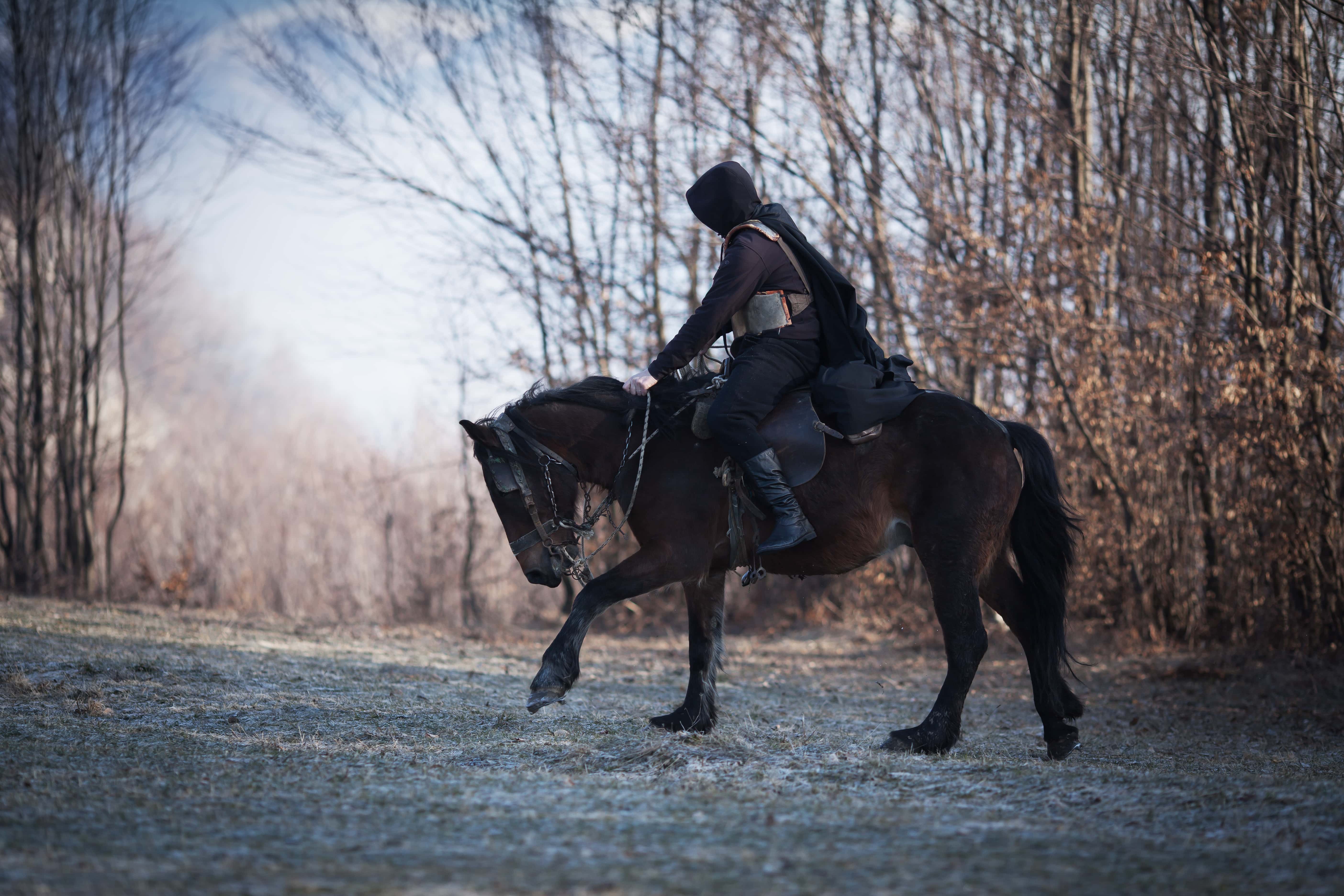 41 Raving Facts About Aerys II Targaryen, The Mad King