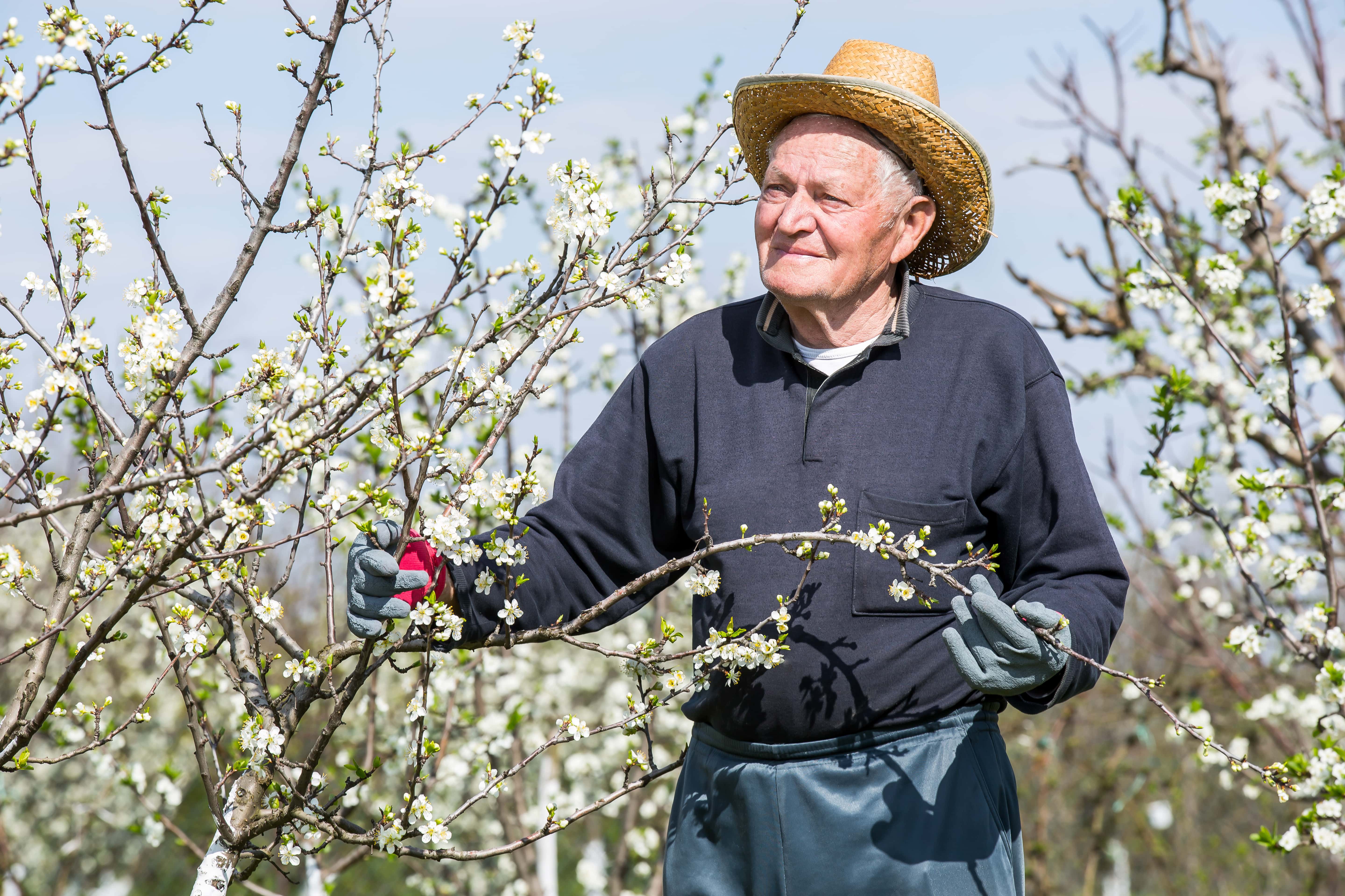 People Share Their Heartwarming Stories Of Real-Life Heroes