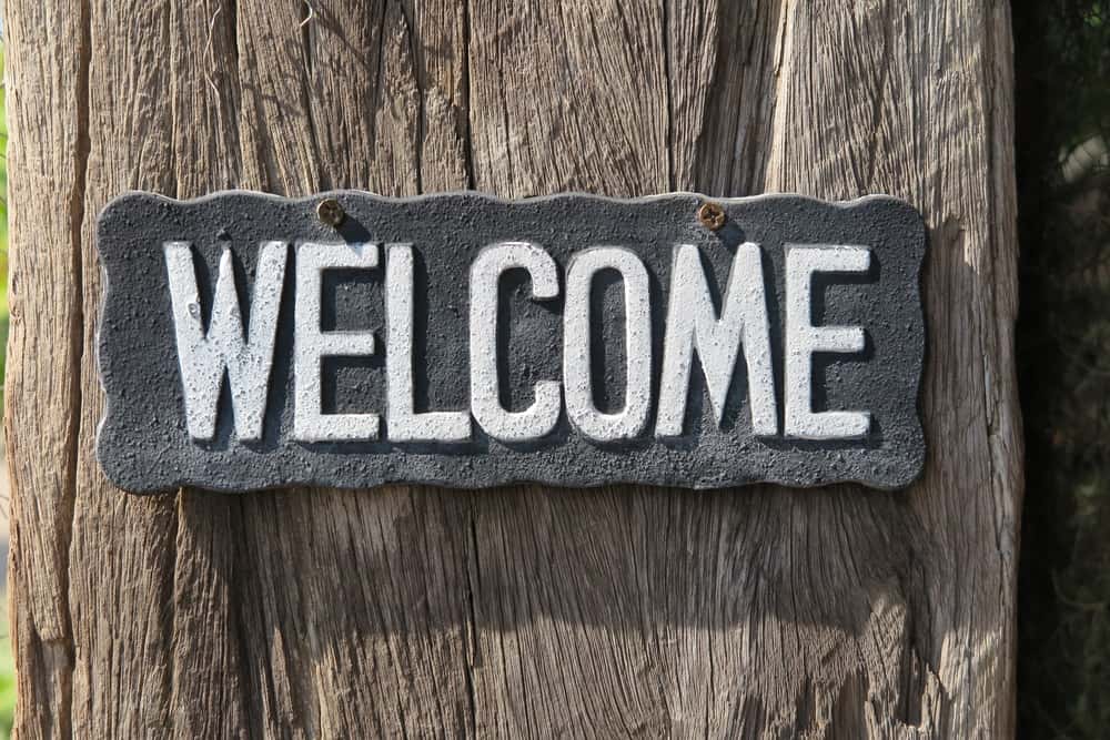 43 Brutal Facts About Timur, The Scourge Of Asia