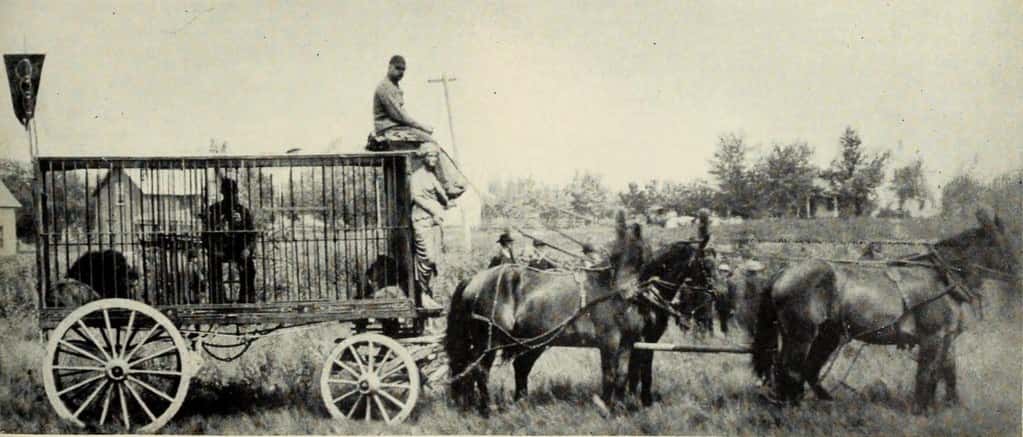 Sonya Golden Hand Was Russia's Queen Of Thieves—Until It All Came ...