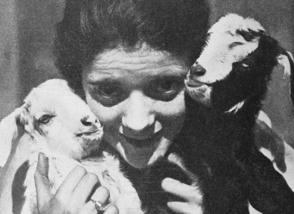 Sorrowful Facts About Alma Rubens, The Silent Film Siren